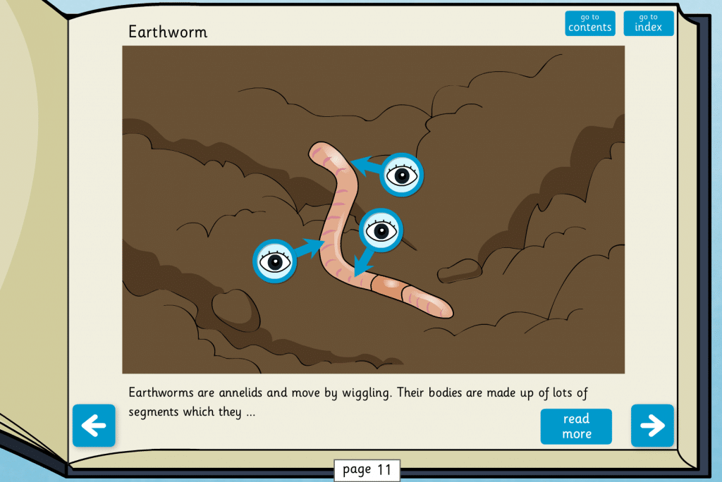 Minibeast Hunt for TES iboard | Chaos Created